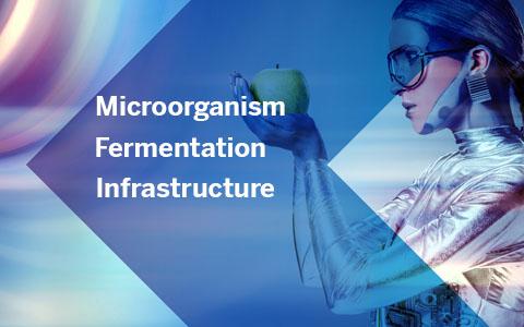 Infrastructure for Fermentation of Microorganisms for Nutrients ...
