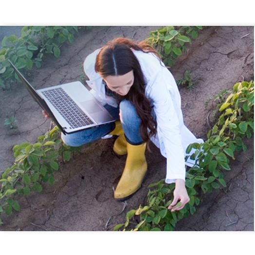 More Food, On Less Land, For More People - English Innovation Site