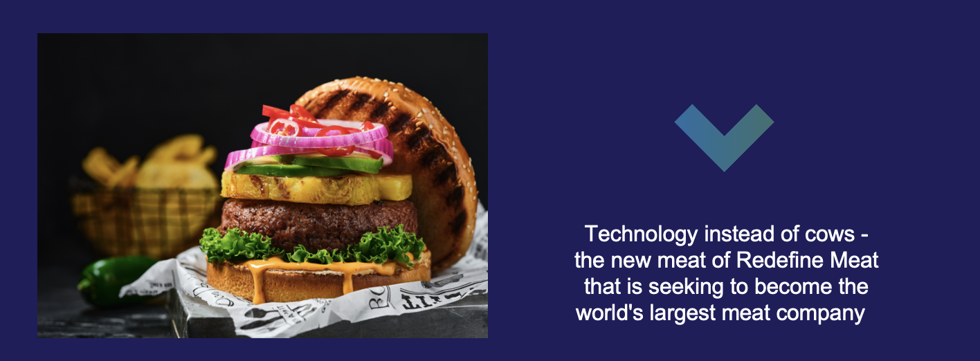 The New Meat Novelti - English Innovation Site