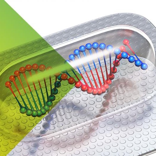 Bio-Convergence - English Innovation Site